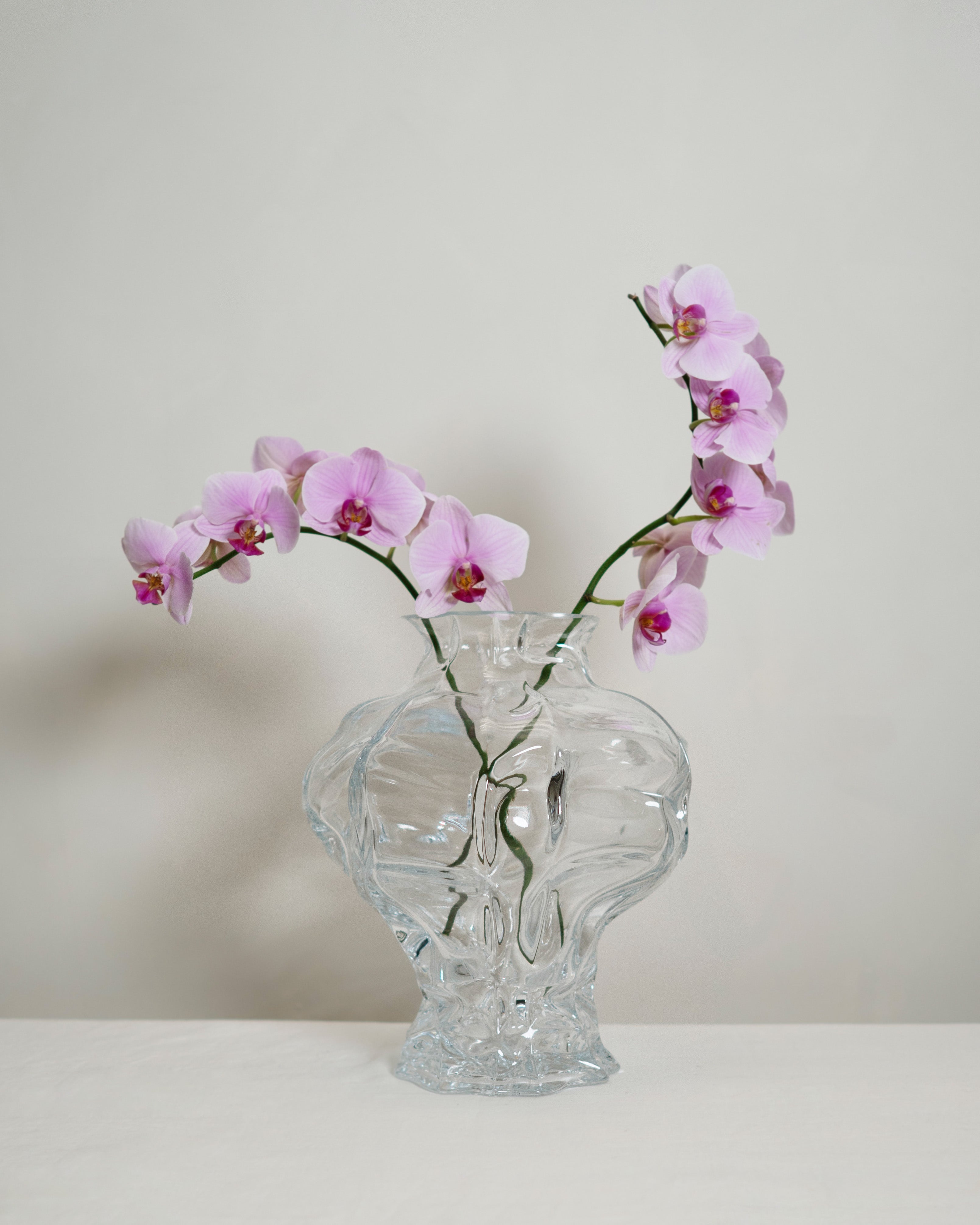 Ammonit Vase - Clear – HEIN STUDIO